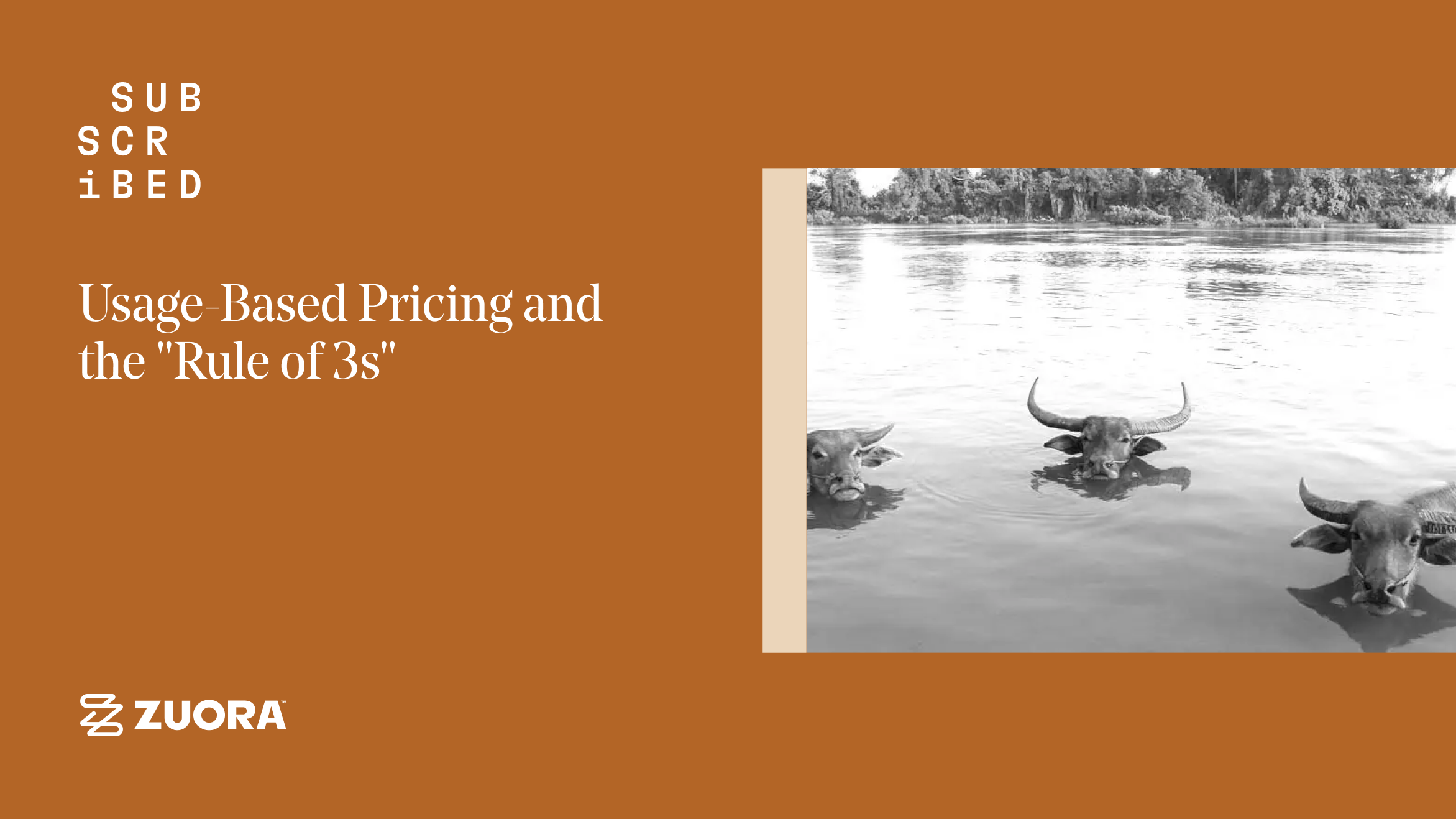 Usage-based pricing and the "Rule of 3s" - Zuora